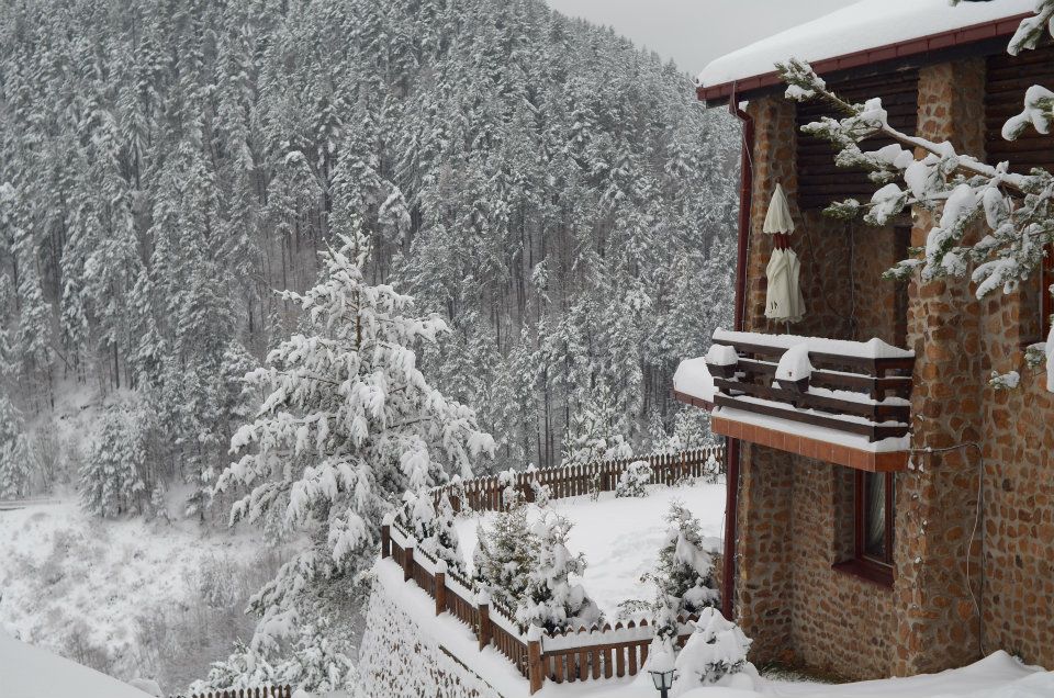 Berovo Lake, Macedonia - place for peace and tranquility - Exotic ...