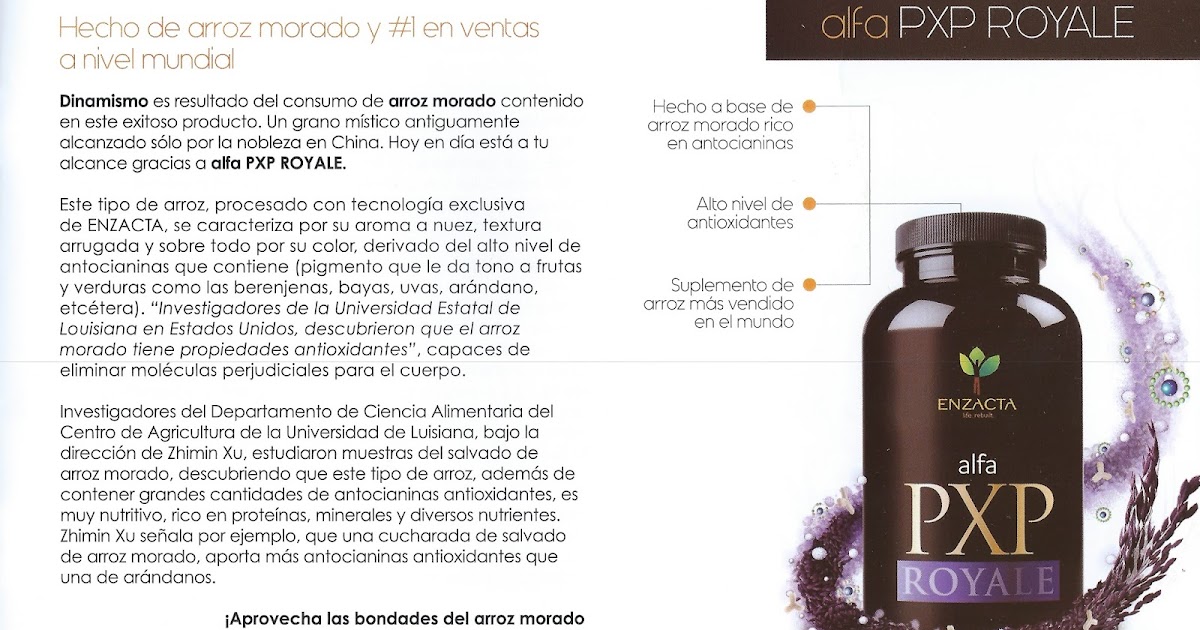 ENZACTA NATURALUZ COACH RAFA IÑIGUEZ: FUNCIONAMIENTO Y BENEFICIOS DEL ...