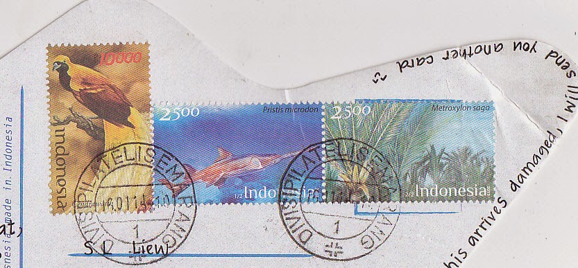 Postcard A La Carte: Indonesia - Map Postcard