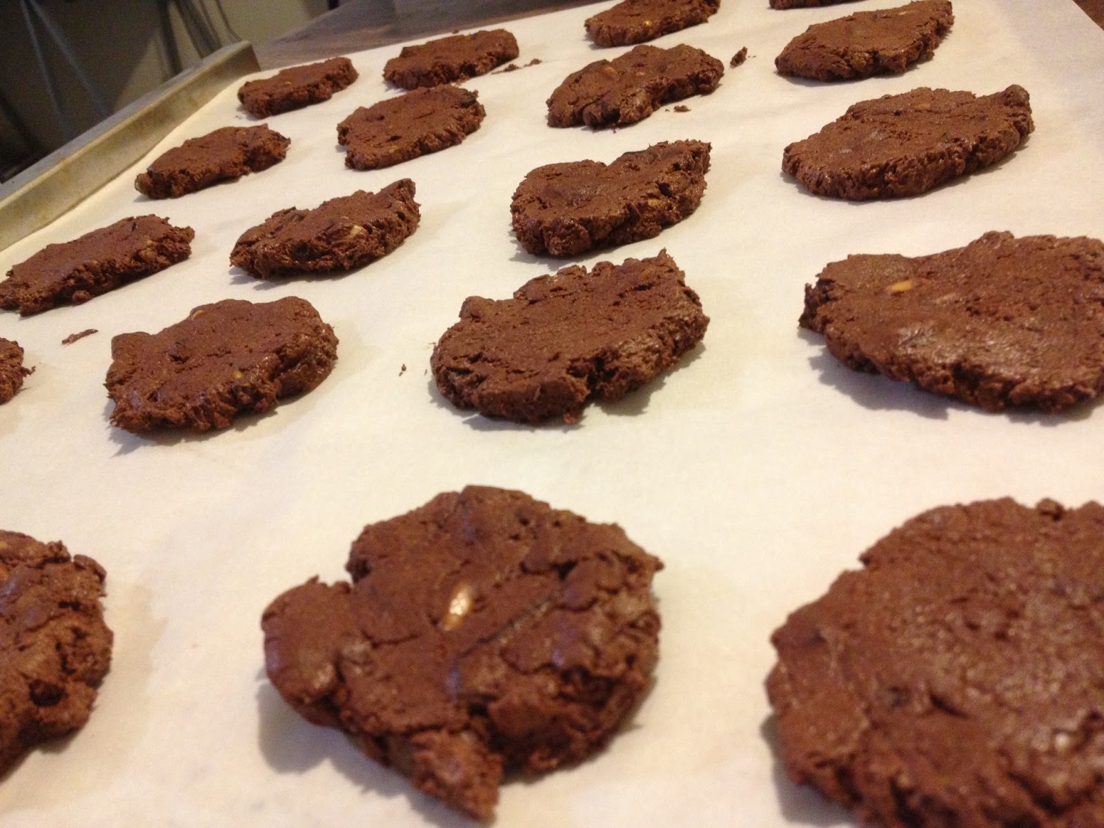Food Locker: Darkest dark chocolate cookies