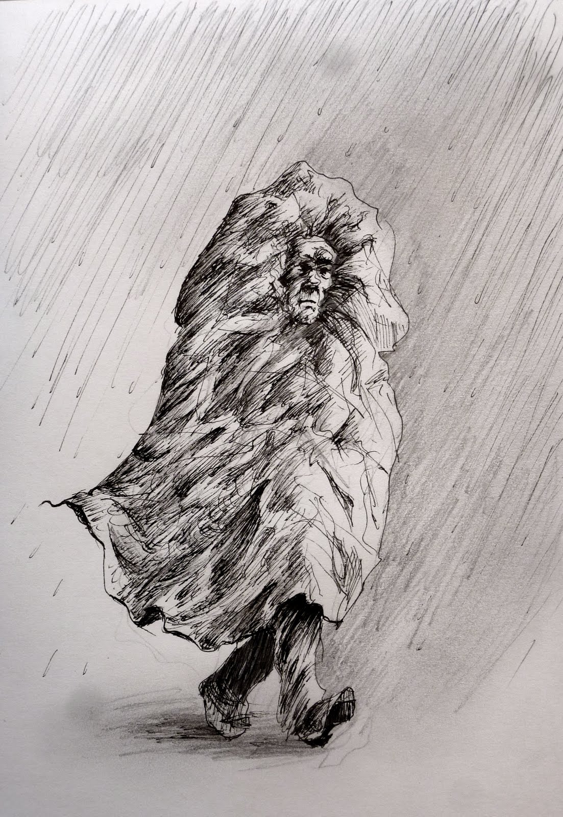 A Frog in Zoo York: Strange Rain Creature