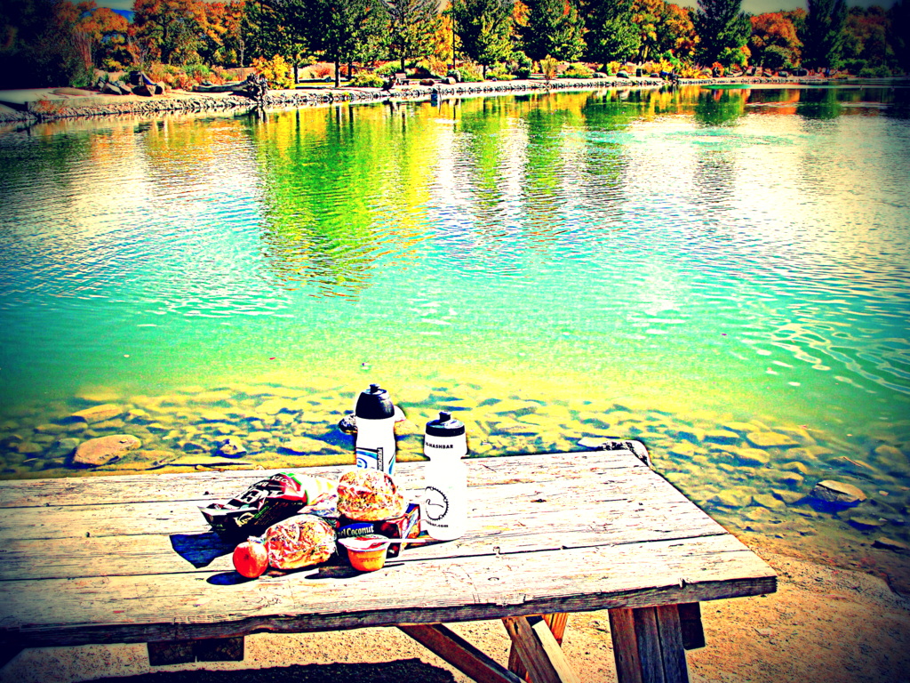 Gold Street: ABQ: Picnic at Tingley Beach