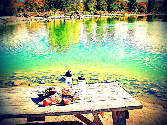 Gold Street: ABQ: Picnic at Tingley Beach