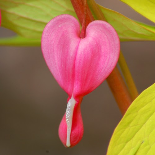 Viva La Ghash!: Sex Symbols: An Introduction to Phallic & Yonic Dream ...