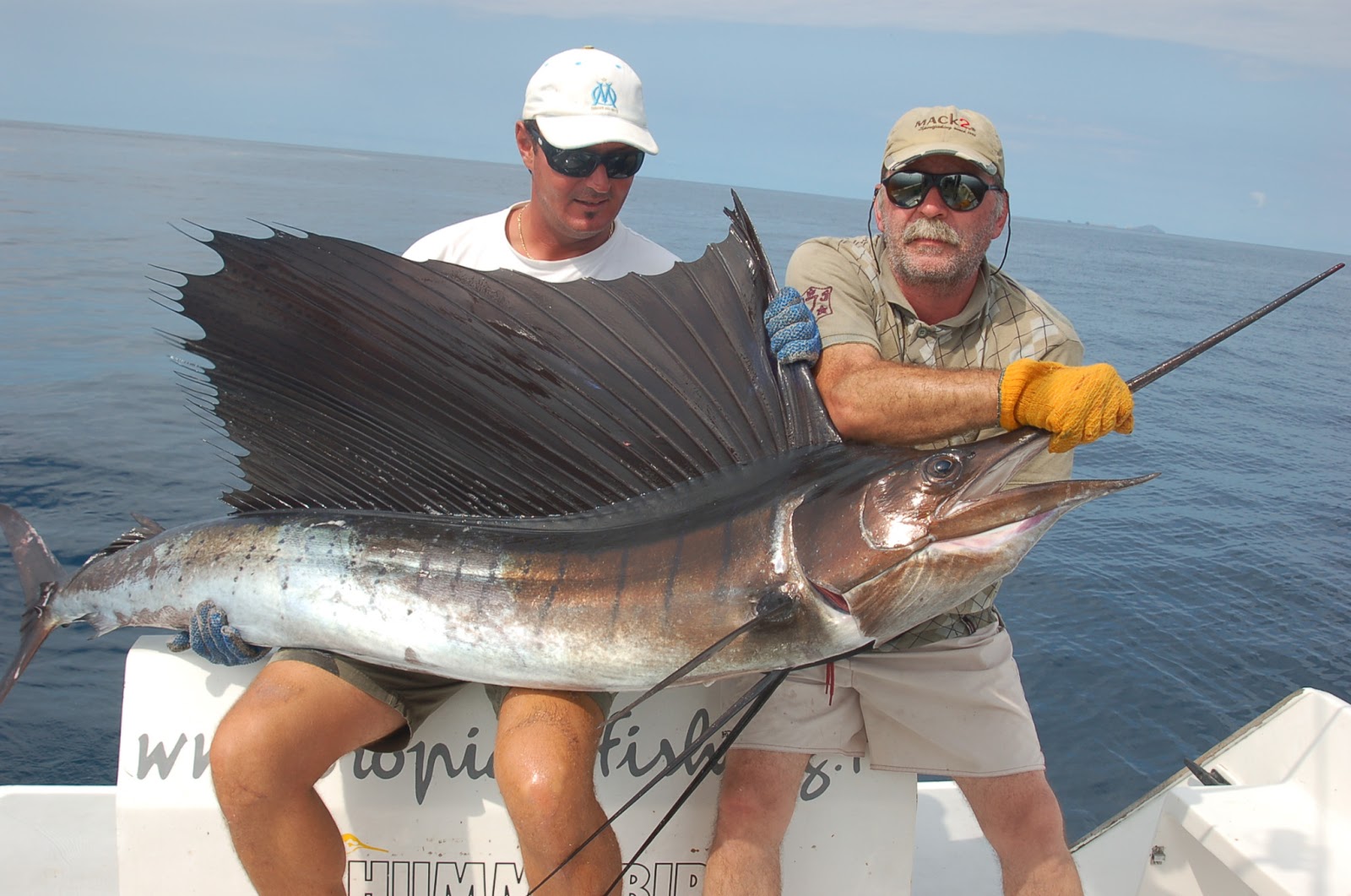 L'espadon voilier | Roiron-Marc