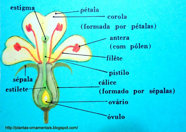 Alunos em Açao Aprendendo muito +: Julho 2011