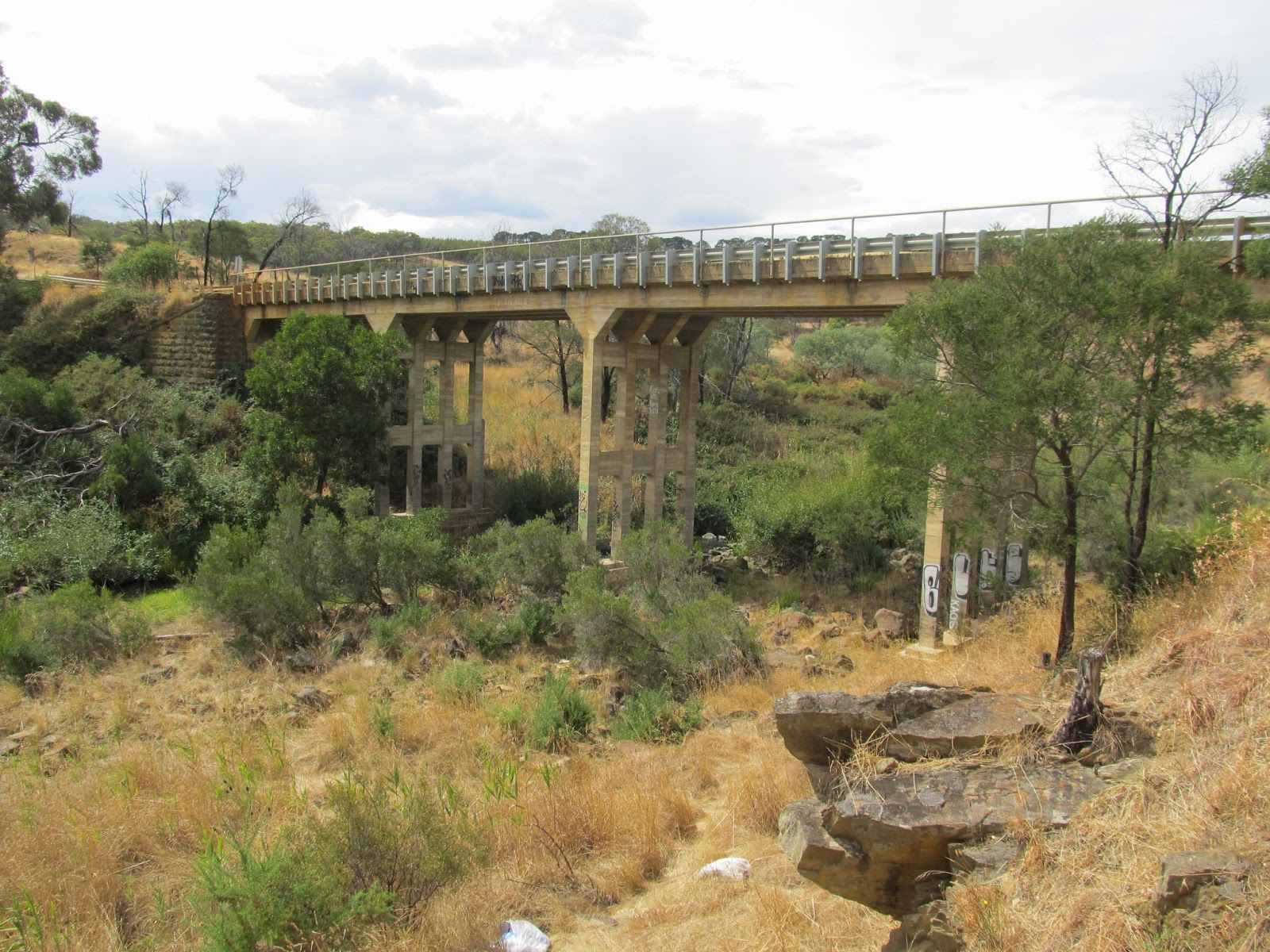 Barwon Blog: Branching out - a grand old bridge