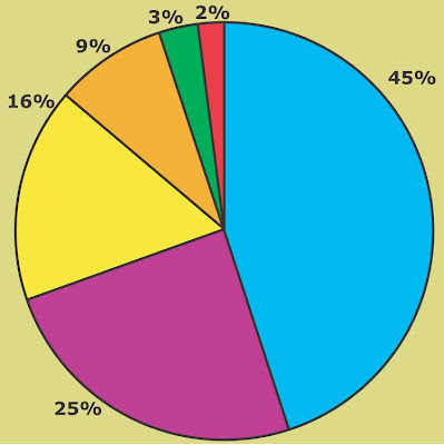 ROOM 106 BLOG!: Circle Graphs