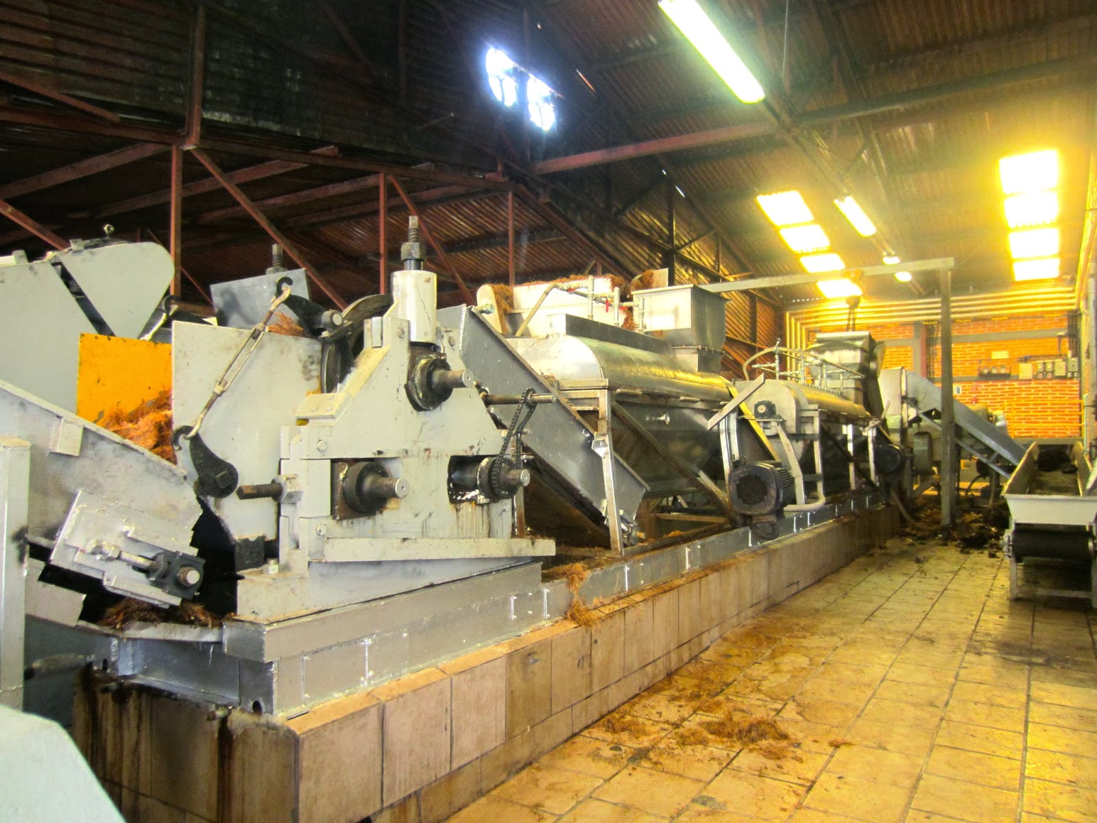 Agave Azul: Tequila!