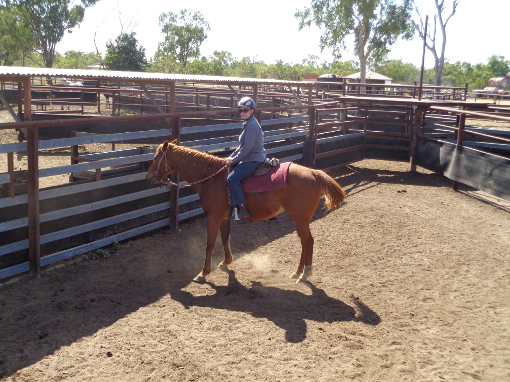 Jervoise Station, Queensland 2016