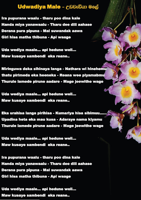 Uda wediya male lyrics | New Sinhala Songs