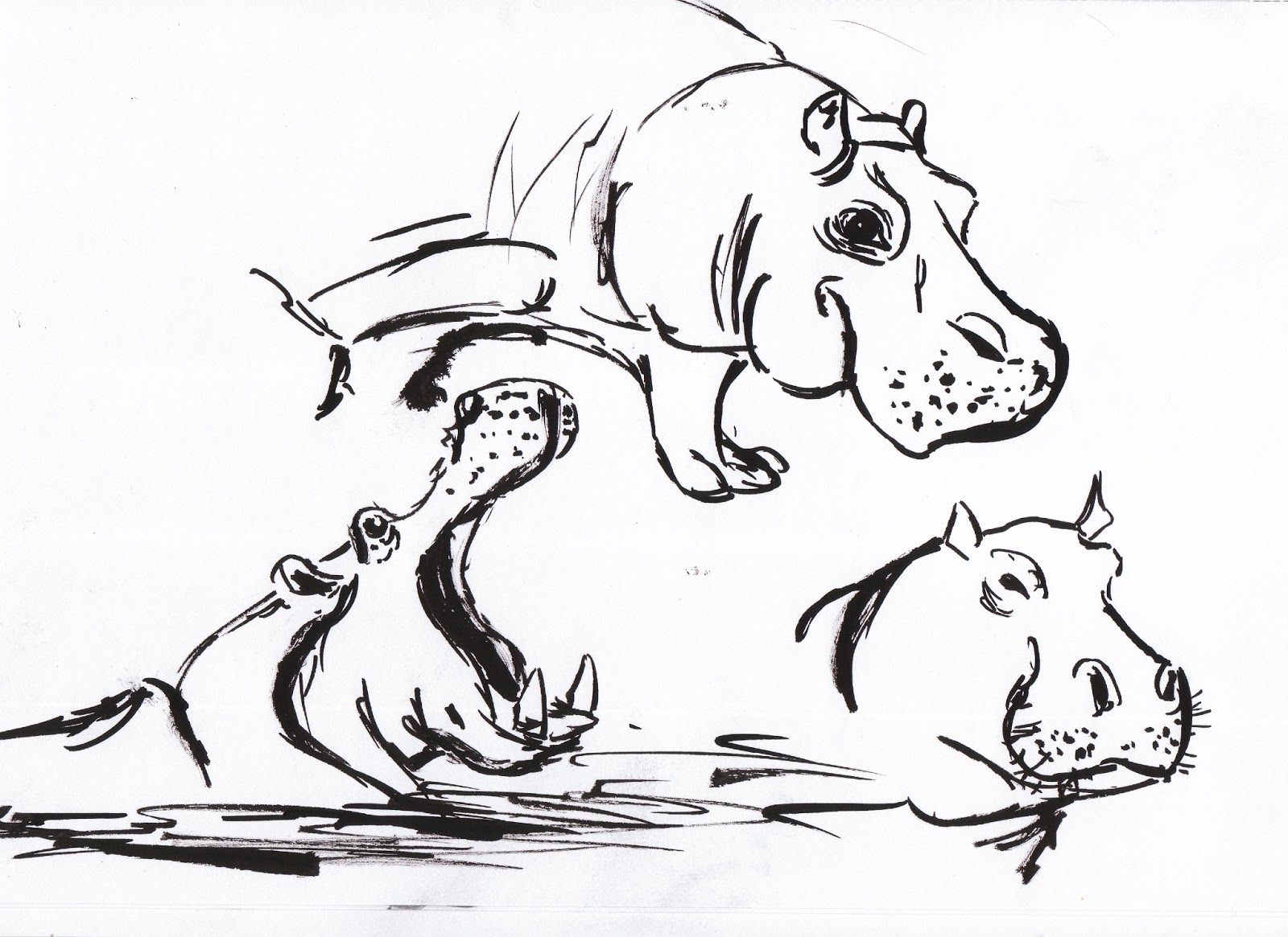 Coloring Pictures Of Crawl Coloring Pages