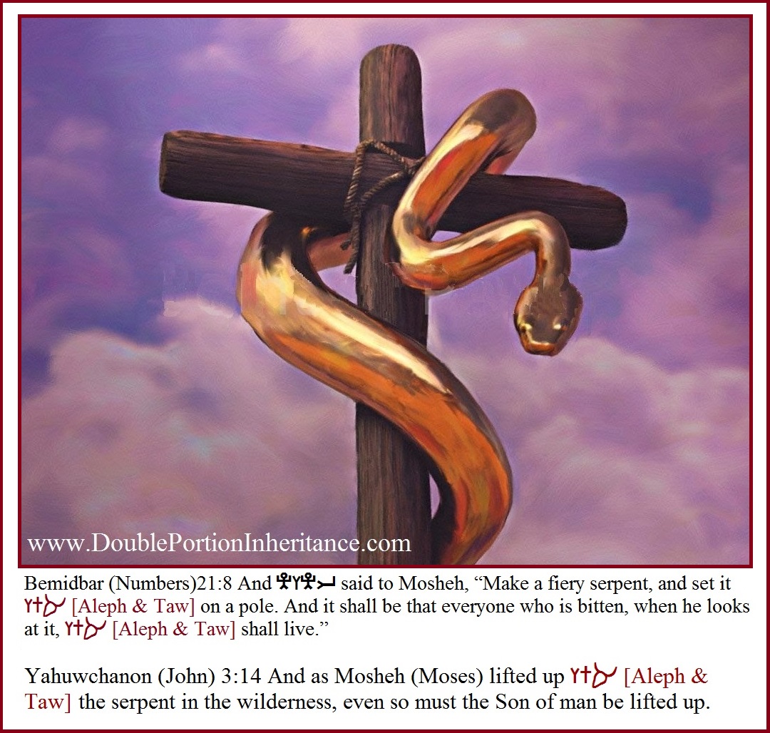 Double Portion Inheritance: The Aleph & Taw: The Red Heifer & The Two ...