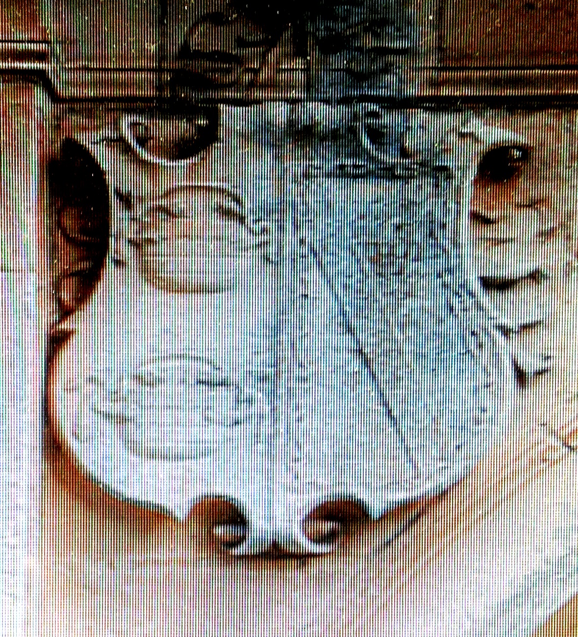 Conti di Panico: Gómez Manrique y su esposa Sancha de Rojas en su ...