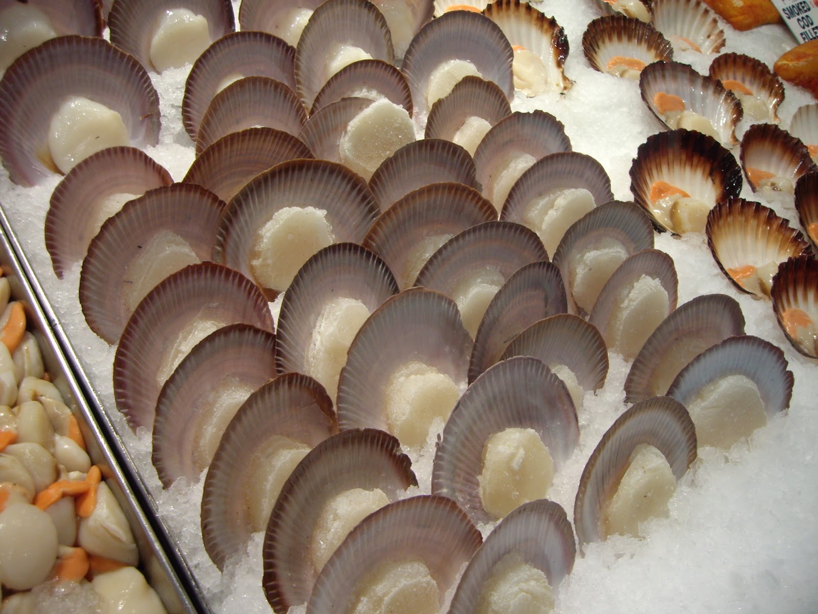 Pistis Food & Travel Journal: Sydney Fish Market (Sydney, Australia)