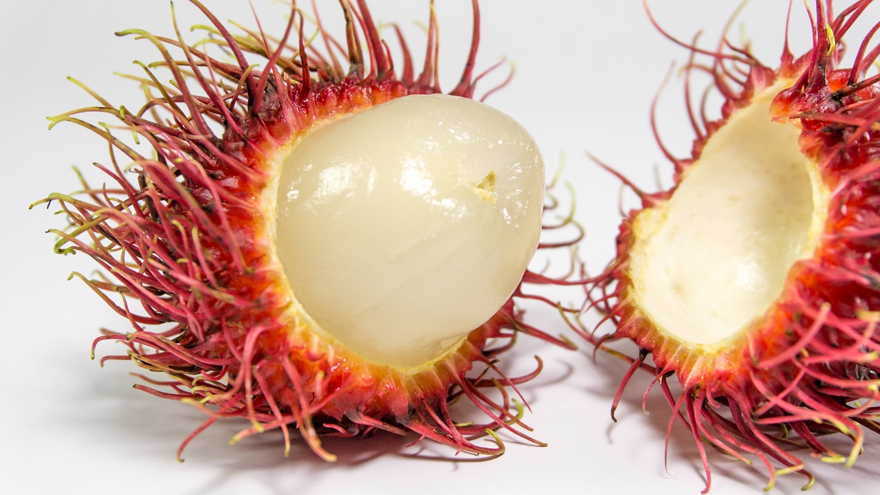 Rambután