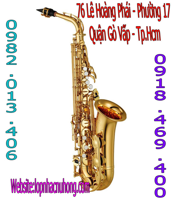 saxophone vàng kim óng ánh sang trọng | Bán Kèn Saxophone Tại Tphcm