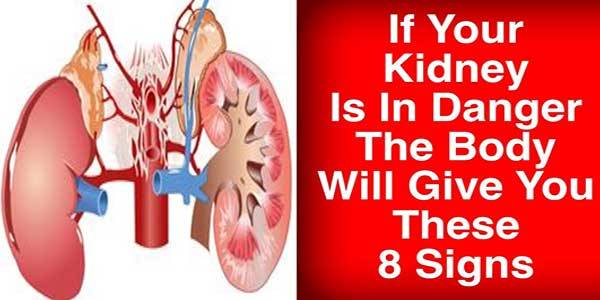 8 Early Noticeable Signs of Kidney Damage You Should Know ~ Healthy and ...