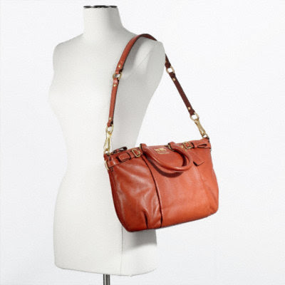 ~StrawBerry TaGs~: SPECIAL ORDER: COACH Madison Leather Sophia Satchel ...