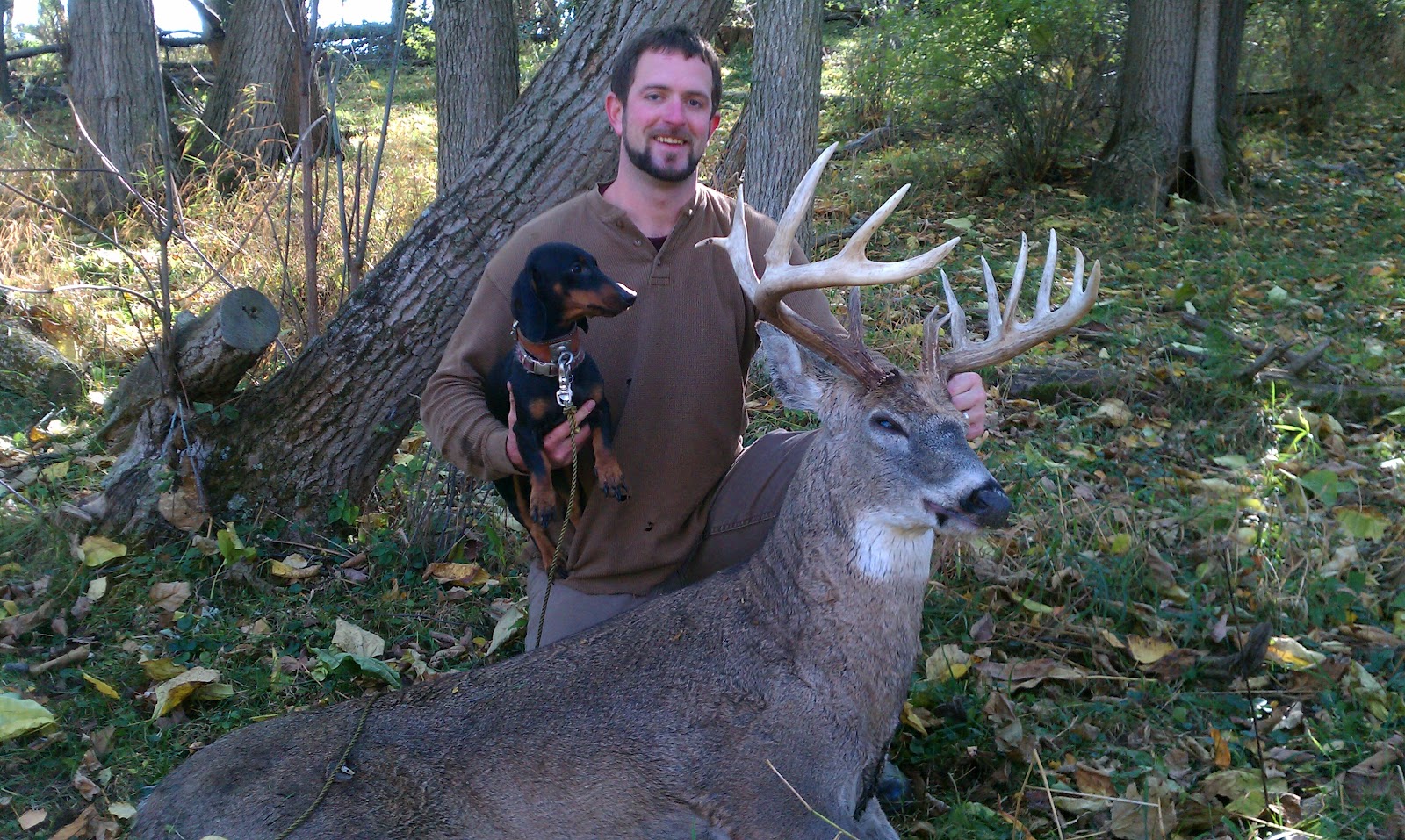 Ohio Blood Tracking Dogs Leashed Tracking Dogs For Recovering Wounded Deer Ohio Blood Tracking Dogs Leashed Tracking Dogs For Recovering Wounded Deer