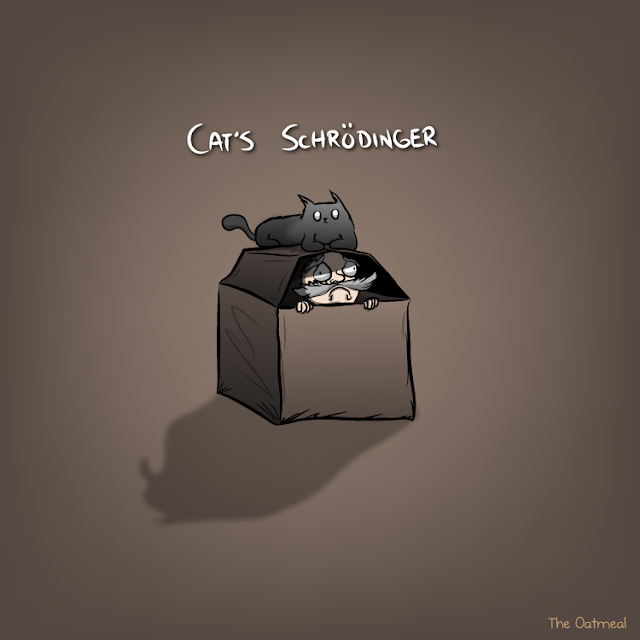 Miss Cellania: The Art of Schrodinger’s Cat
