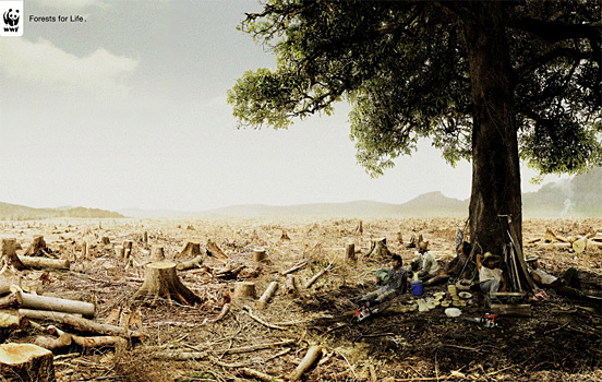 pour de Brielle: TOP-10 WWF's Posters