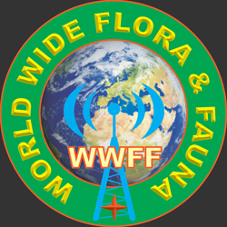 YNOMY DX Group: 2018