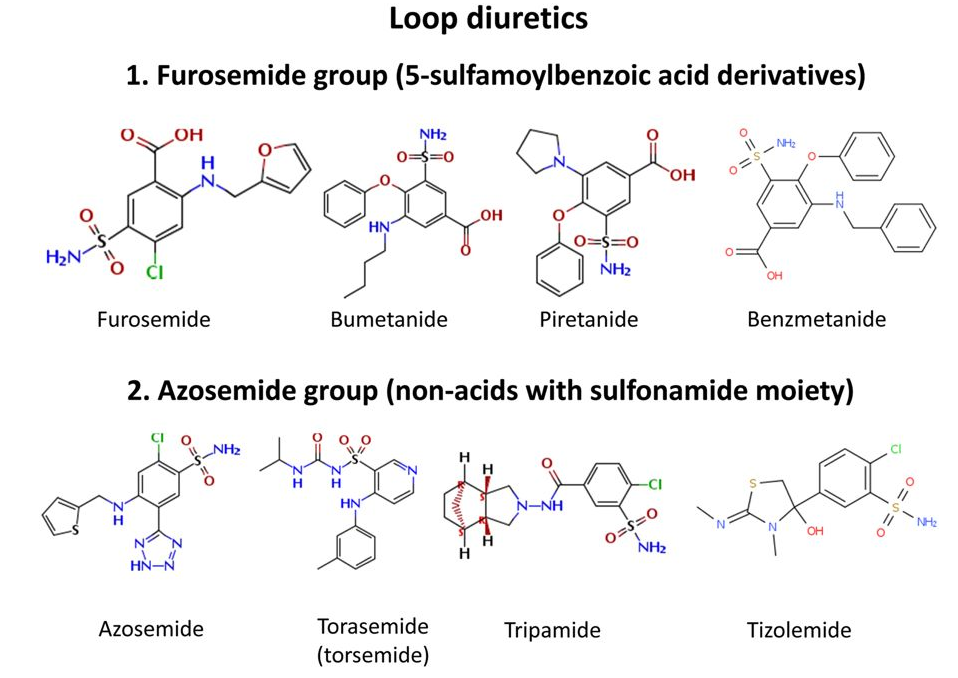 Epiphany: Making best use of existing NKCC1/2 Blockers in Autism