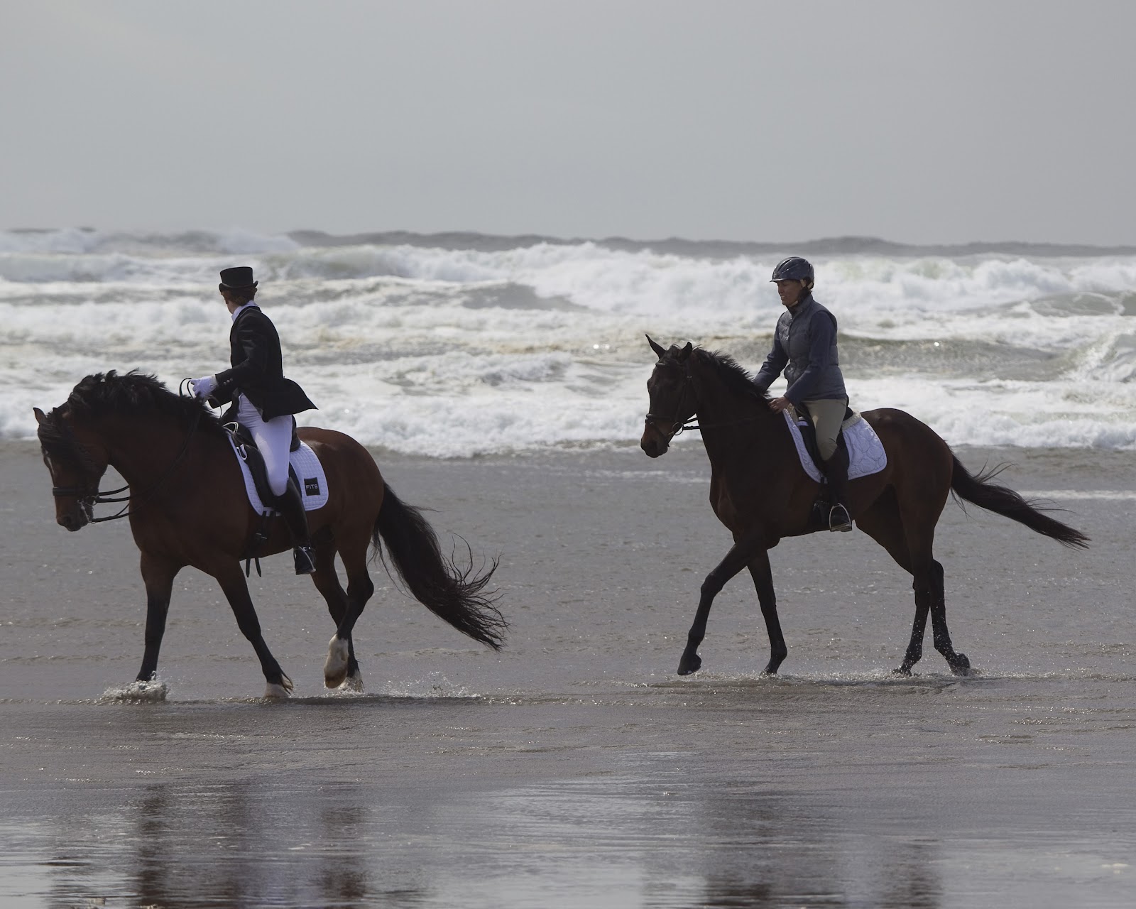 Wet Reins: Dressage with Jessica Wisdom