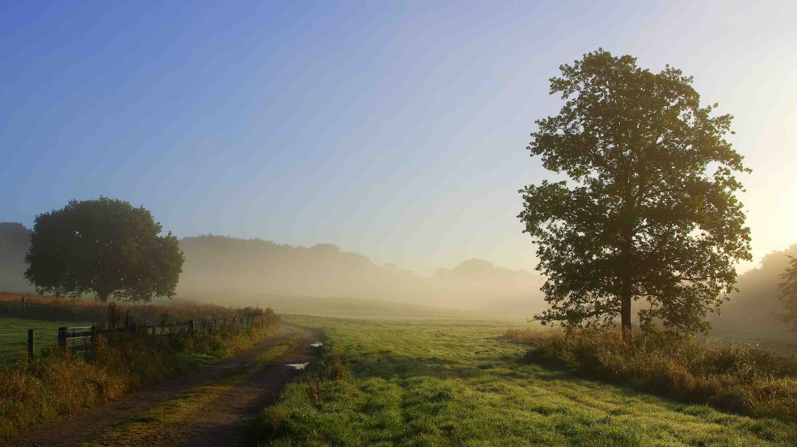 Out & About: Ellastone & Calwich Abbey