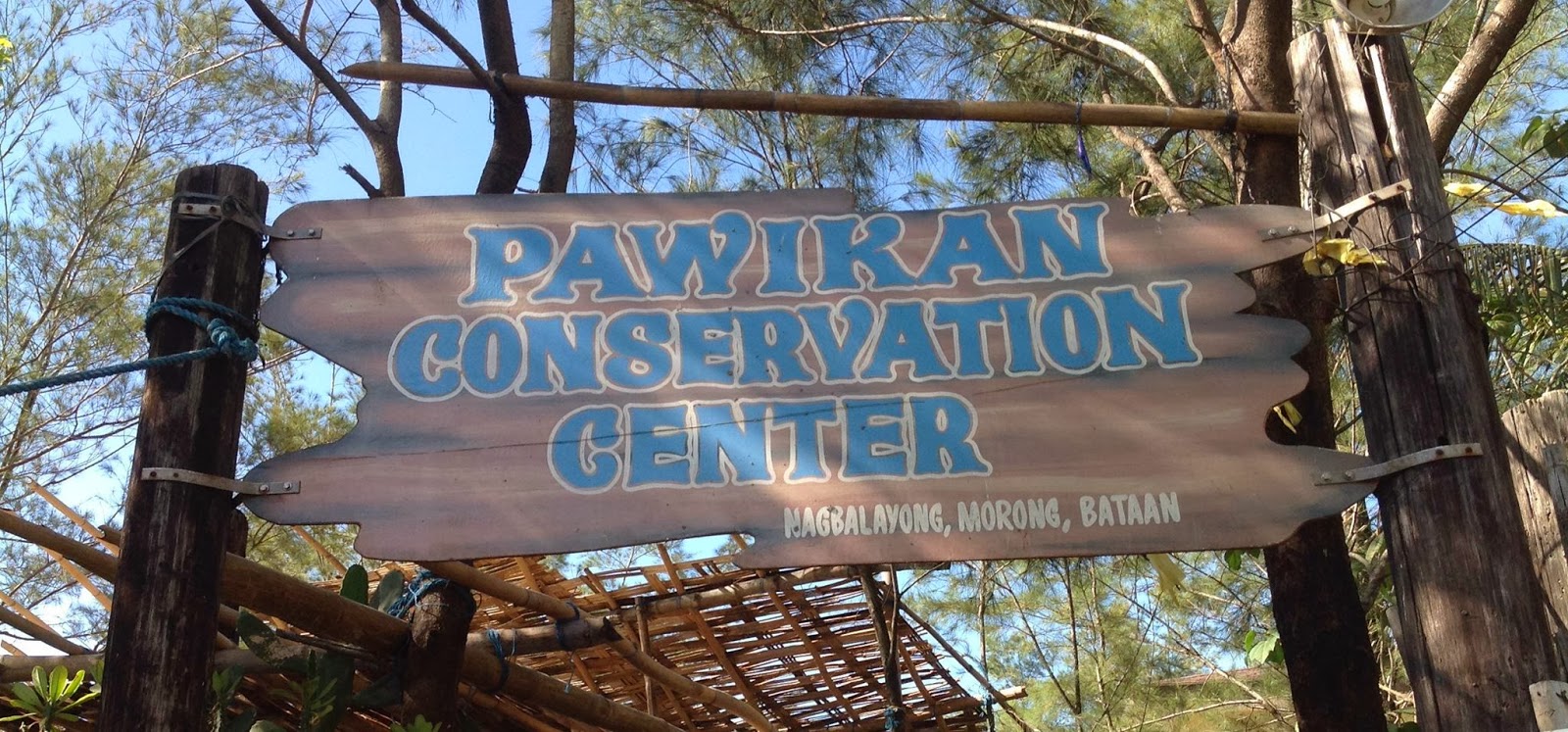 ThermoSciBloga: The Pawikan Conservation Center!