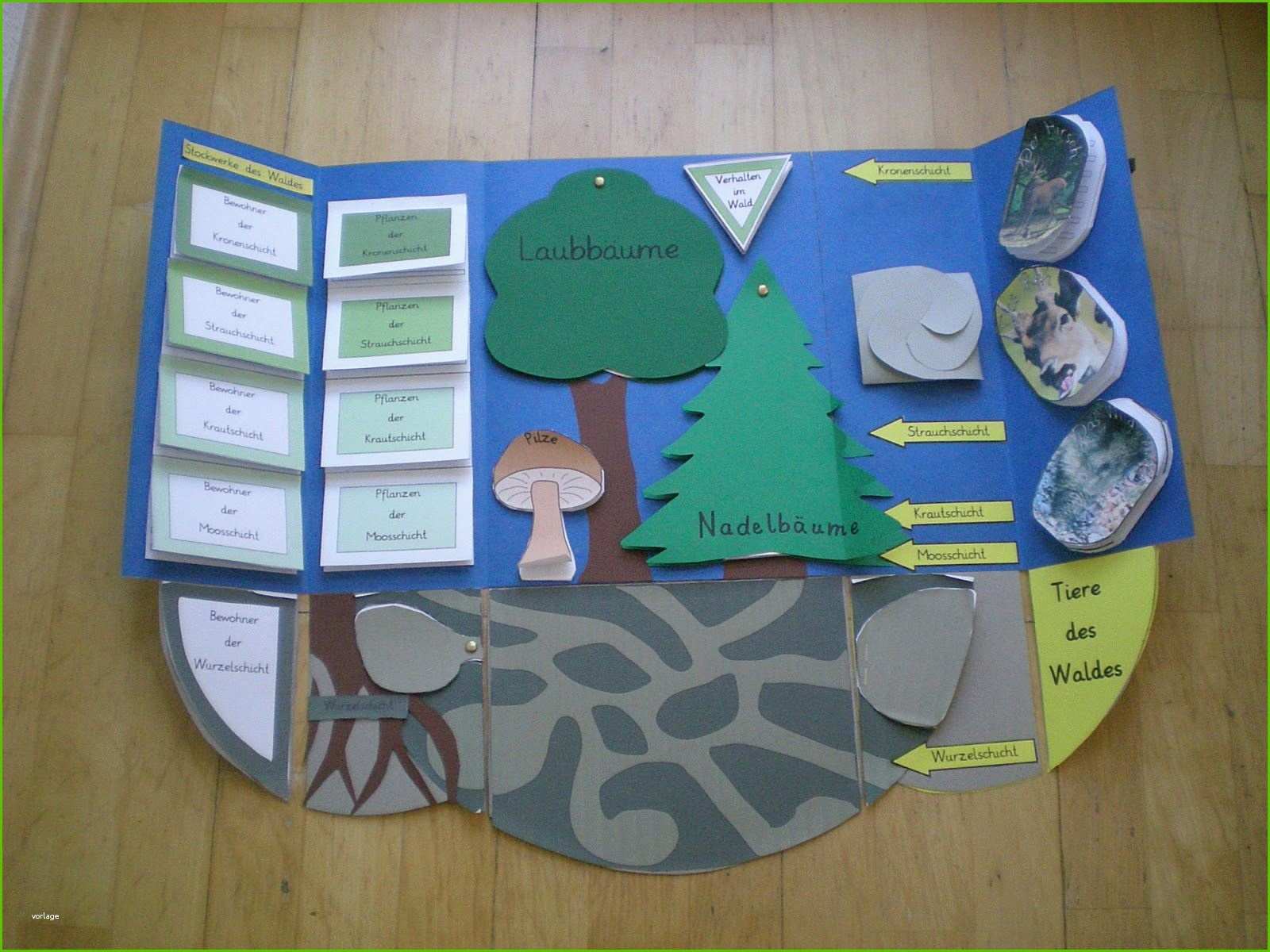 Lapbook Vorlagen Buchvorstellung Bewundernswerte Plakat Gestalten ...