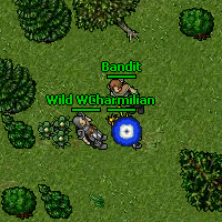 Amigosdokacal.com: Gifs de Tibia