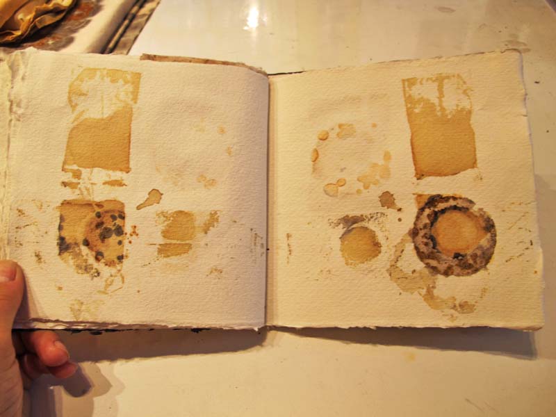 Jennifer Coyne Qudeen: A book of tea