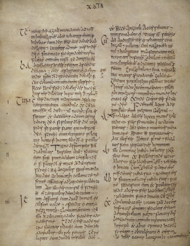 A N G L A N D I C U S: The Book of Armagh - A Bible from the Early ...