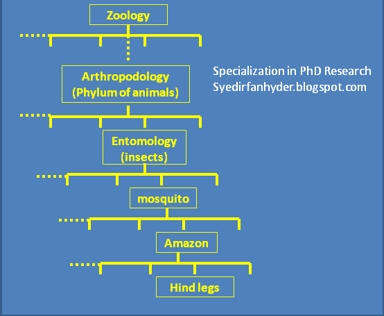 Learning and Life: What does it Mean to Have a PhD: Myths of ...