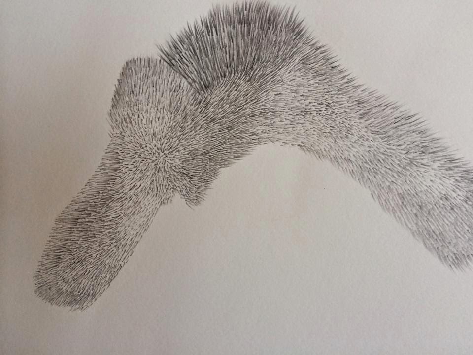 Vista Art Projects: Nancy Baker Cahill Graphite Drawings /Sandra Vista ...