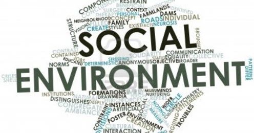 Social Environment Defined
