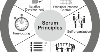 Automated Software Testing: Scrum Principles - Agile Methodology