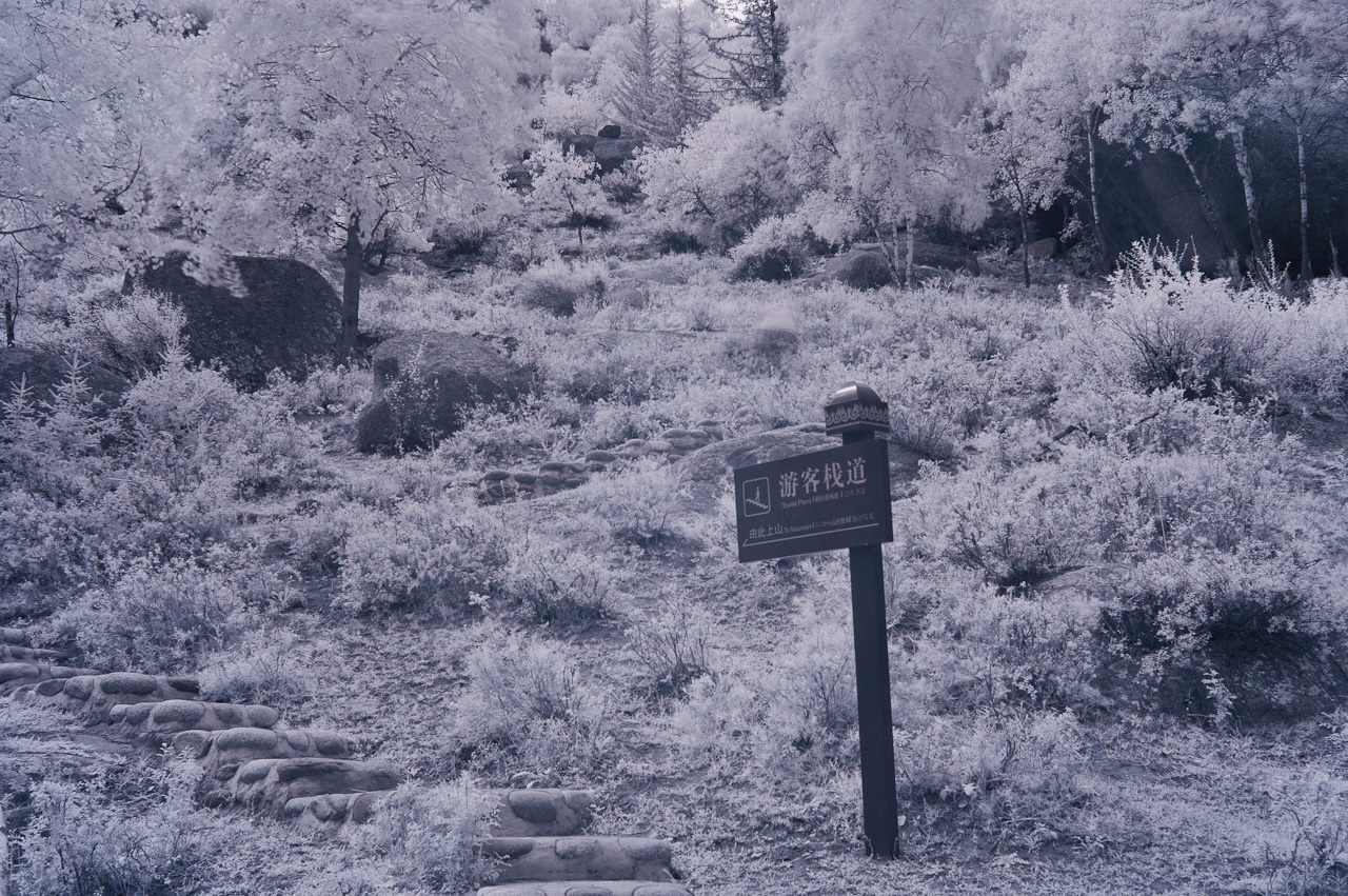 NWR Photo Blog: IR @ Koktokay National Geopark, Fuyun, Xinjiang, China