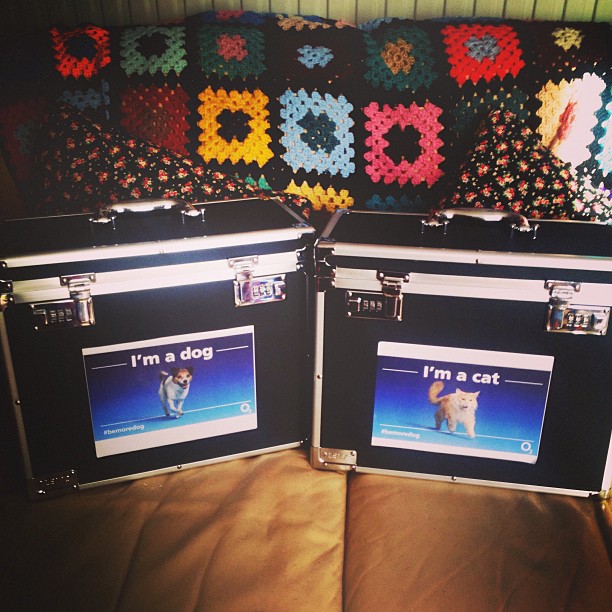 O2 ' Be More Dog' Challenge - that's so yesterday