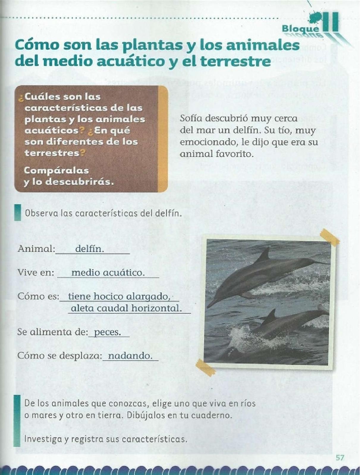 Cómo son las plantas y los animales del medio acuático y el terrestre ...