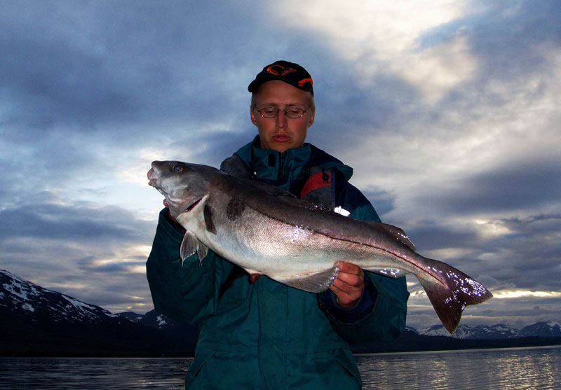 Obbiens Fiskeblogg: St.Hans i hyseland