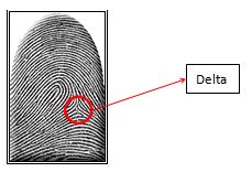 Criminalística: investigaciones I.C.Mborore: DACTILOSCOPÍA