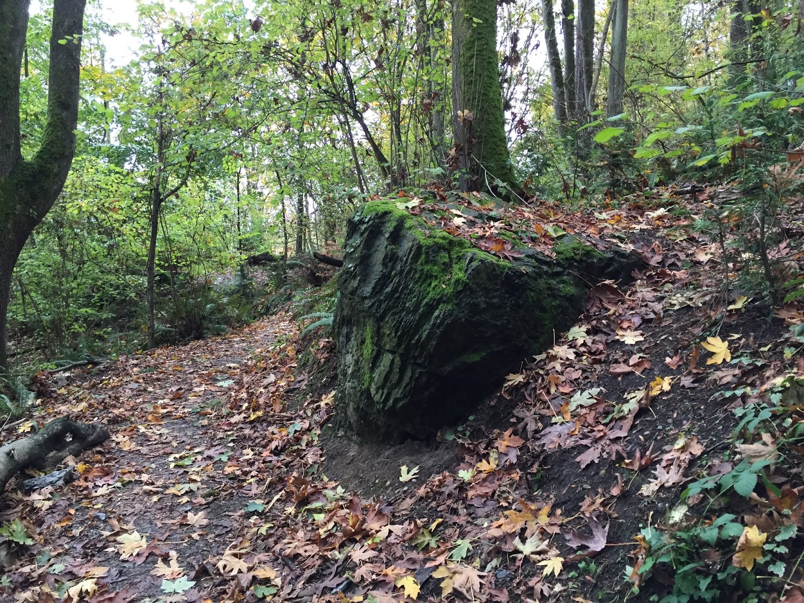 Boren Park, ENVIR 280 Journal: Erratic In Seattle - Seattle Erratic ...
