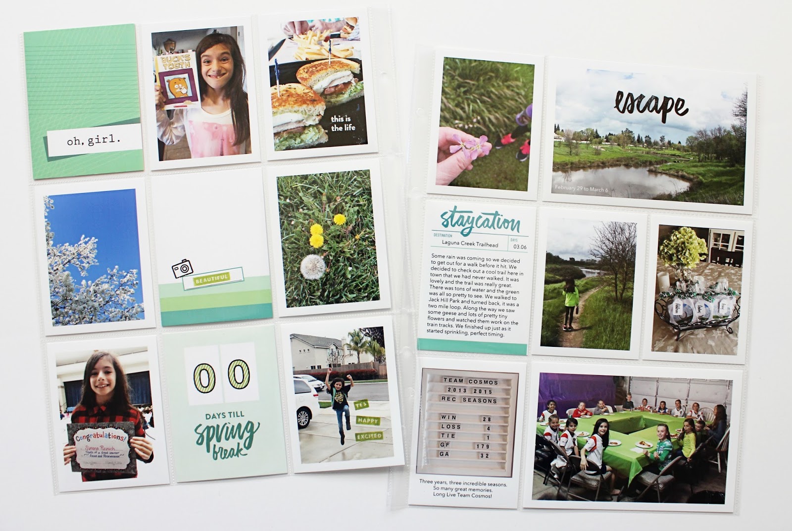 The Picinic Basket: Featuring Kelly Purkey │ March Release