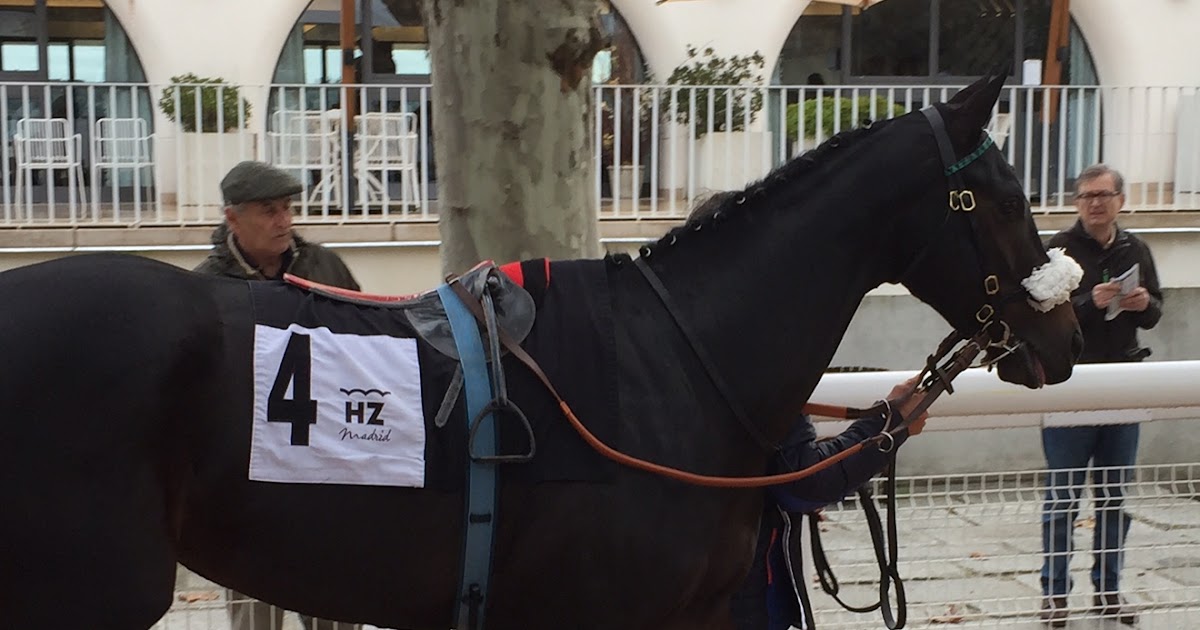 Martul C.B.: Mal MARTUL, no estuvo cómodo en el patatal del Domingo en ...
