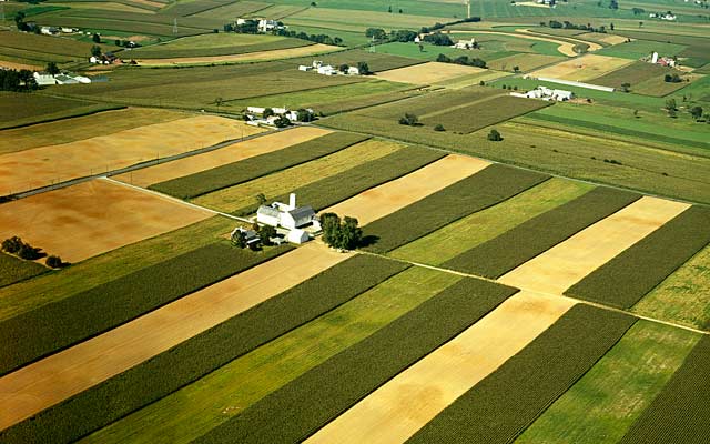 Metode Vegetatif dan Mekanik Konservasi Tanah - Guru Geografi