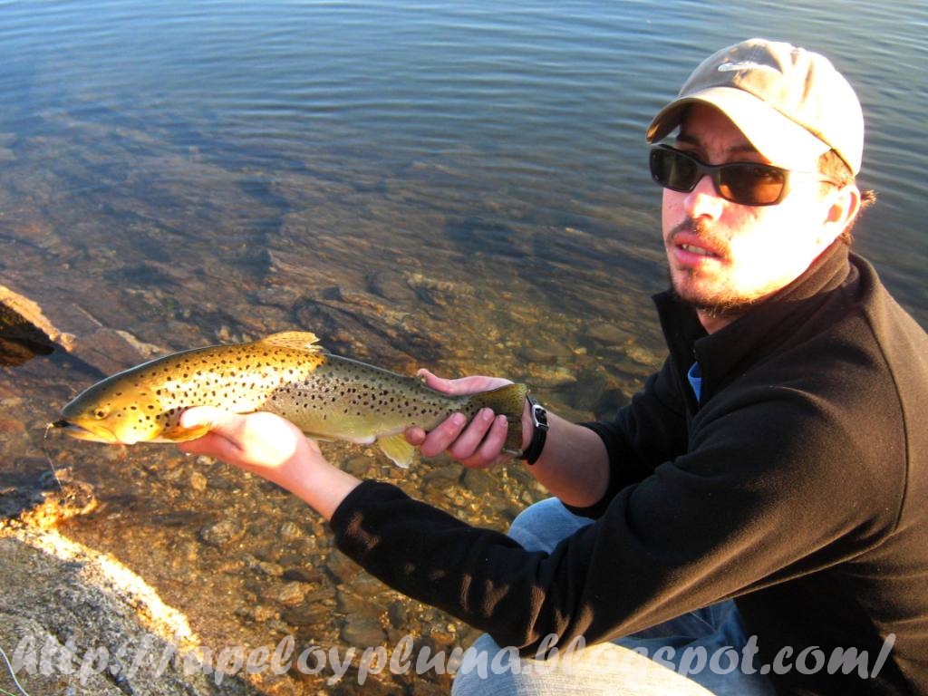 A pelo y pluma-- Flyfishing blog: Pesca en Lago (III). Tácticas.