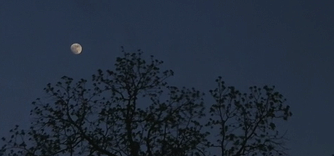 How to photograph the moon on an iPhone: One possible solution [Stellar ...